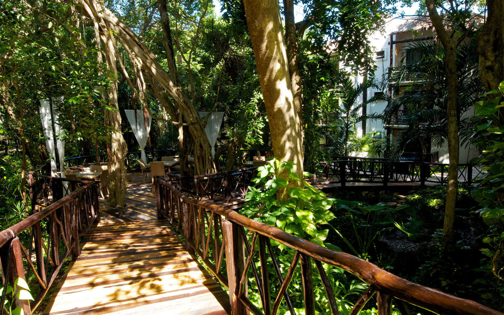 The Reef Playacar Beach Resort & Spa All Inclusive - Riviera Maya ...