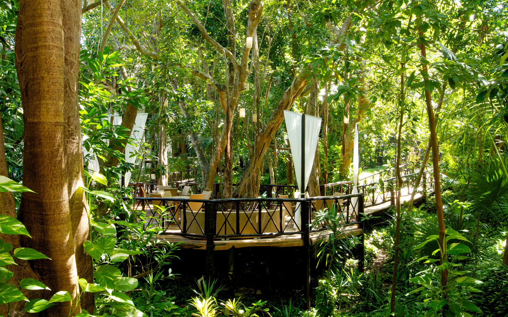 The Reef Playacar Beach Resort & Spa All Inclusive - Riviera Maya ...