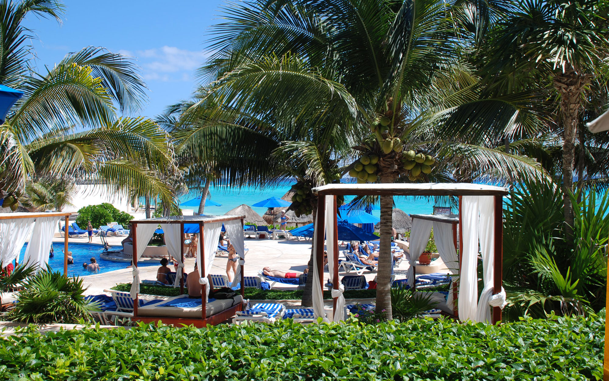 The Reef Playacar Beach Resort & Spa All Inclusive - Riviera Maya ...